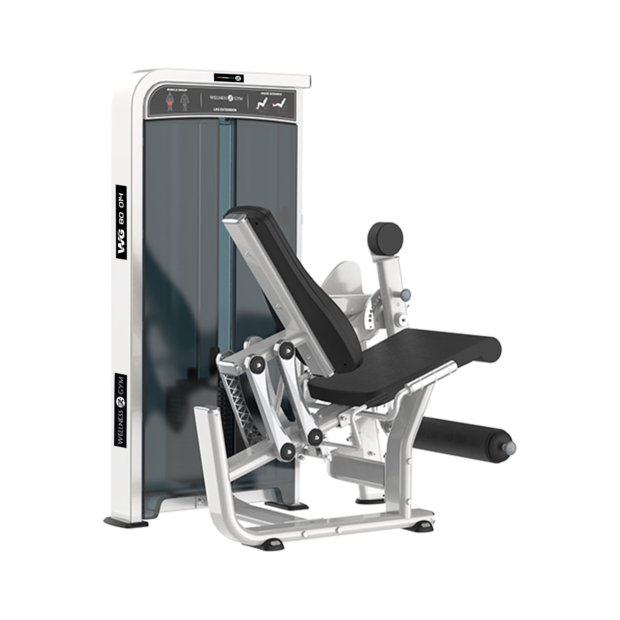 Leg Extension Machine for Effective Leg Workouts